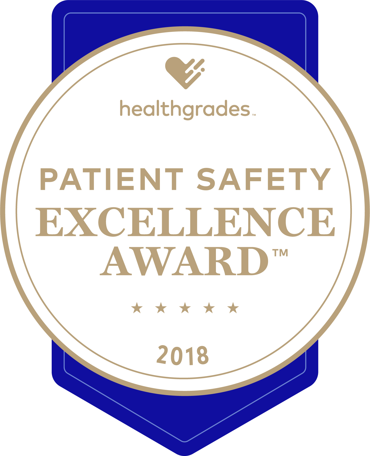 Patient Safety Excellence Award | Guadalupe Regional Medical Center